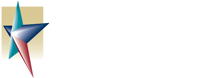 TCCD Applicant Portal | Adjunct Instructor - Humanities